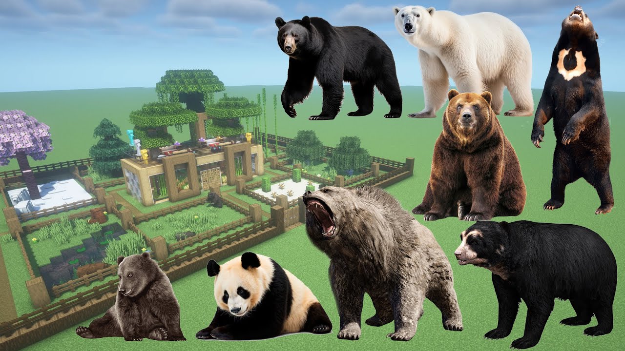 How To Make Every Bear Farm in Minecraft PE - YouTube