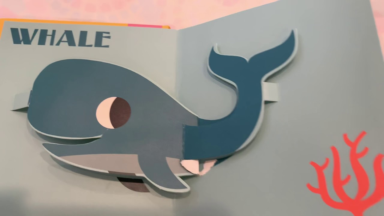 Ocean - A Pop-up Book - YouTube