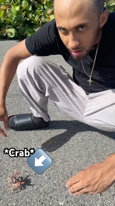 FIGHTING A CRAB - YouTube