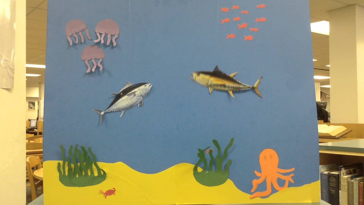 Bluefin Tuna Life Cycle pt 1 - YouTube