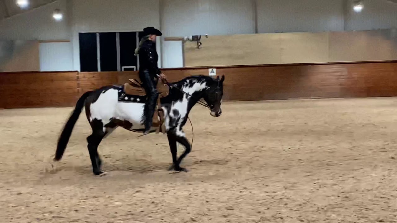 Wdaa world show 2020 Basic test 3, open, Sporty new fashion - YouTube