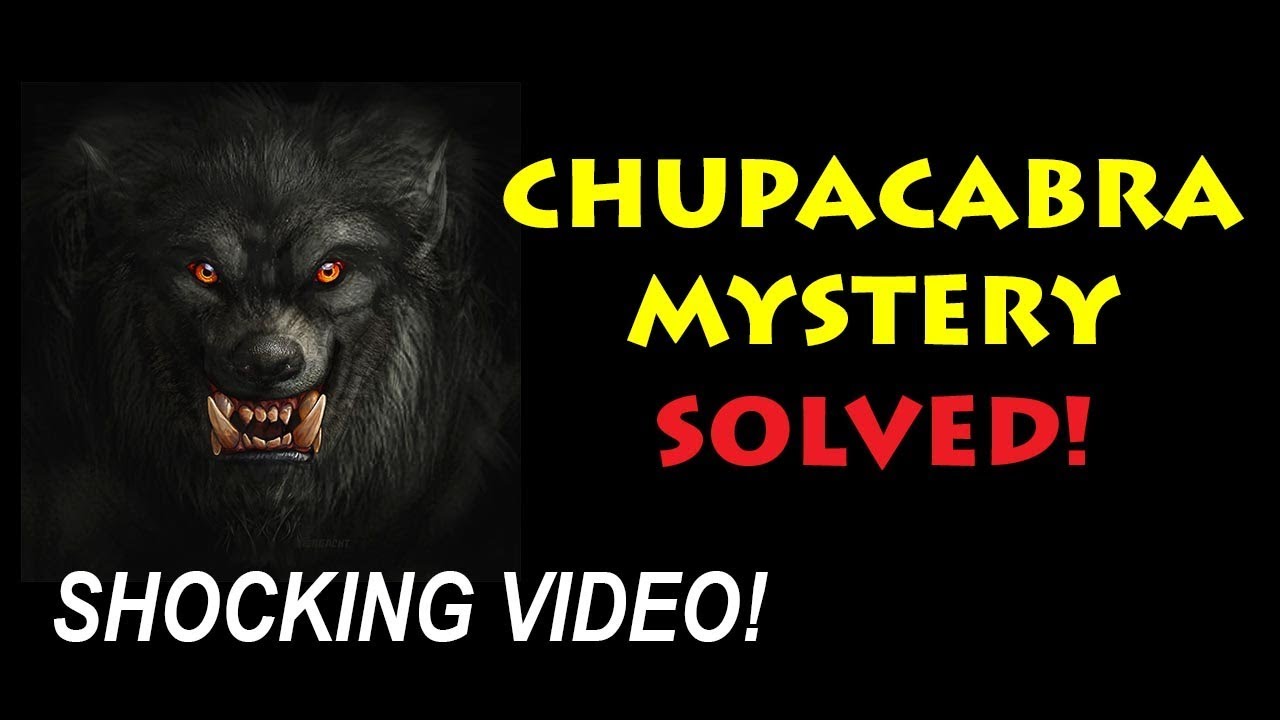Shocking! Chupacabra captured on camera in Texas - Actual unedited ...