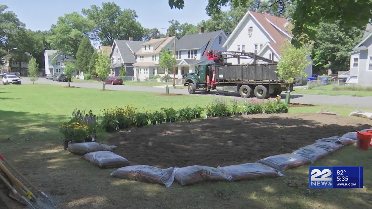 ReGreen Springfield planted 9 large trees in Forest Park - YouTube