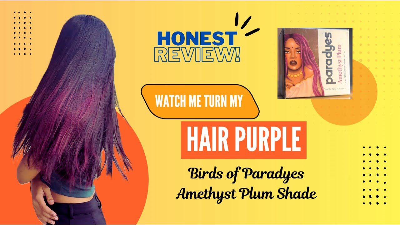 I dyed my Hair Purple! Honest Review- Amethyst Plum | Birds of Paradyes ...