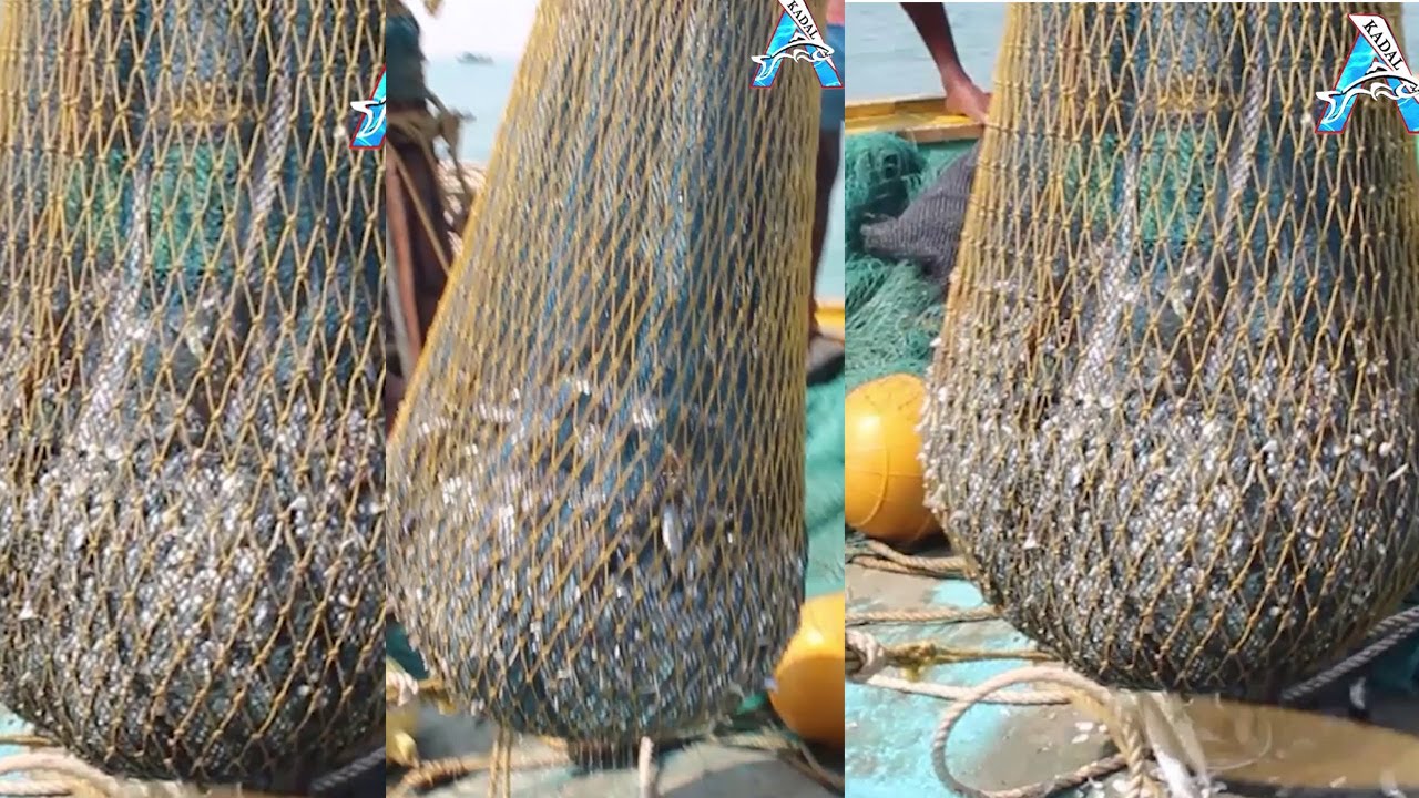 Everyone should watch this Fishermen's video - Most Satisfying Big ...