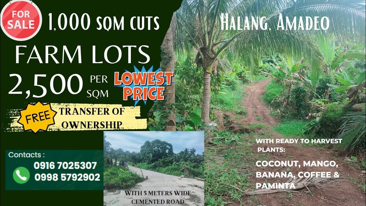 FOR SALE / V#95 Cuts of 1000sqm farm lots in Halang, Amadeo, Cavite # ...