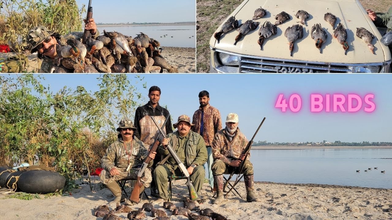 Duck Hunting at Chenab River Pakistan 2023 | Waterfowl Hunting | River ...