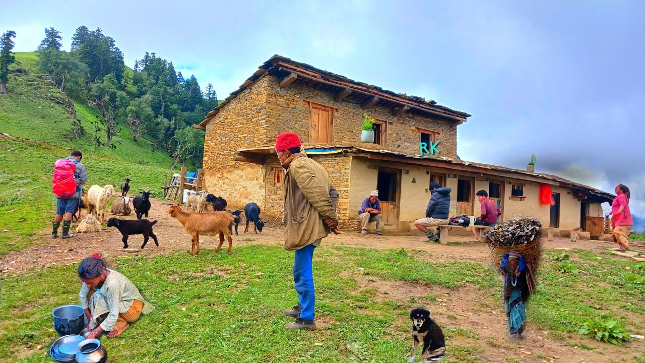 This is Himalayan village life in Nepal ||daily Activities people in ...