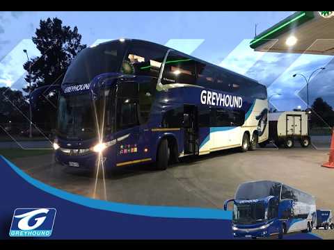 VLOG: BUS TRIP PRETORIA TO PORT ELIZABETH II GREYHOUND PREMIUM