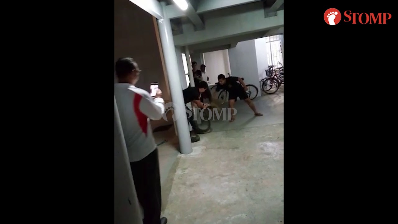 'Untrained' men struggle to nab stubborn python at Choa Chu Kang block ...