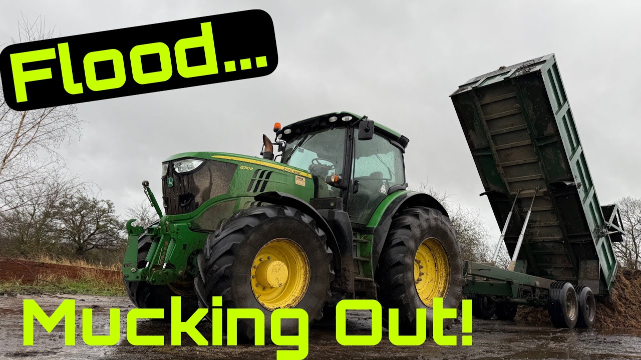 It’s Wet! We have to Muck a Pen Out! - YouTube