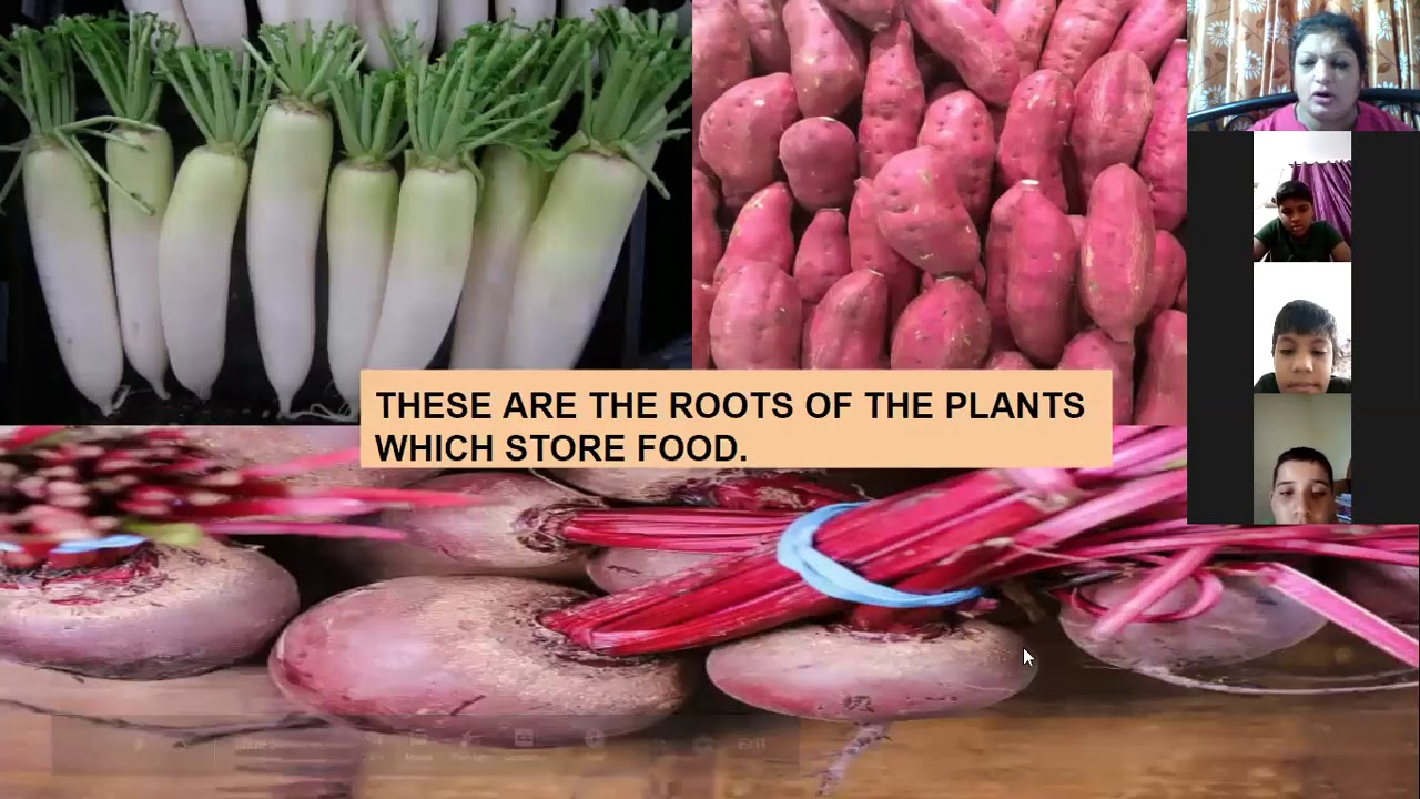 5C EVS1 FOOD FOR ALL SESSION 3 - YouTube