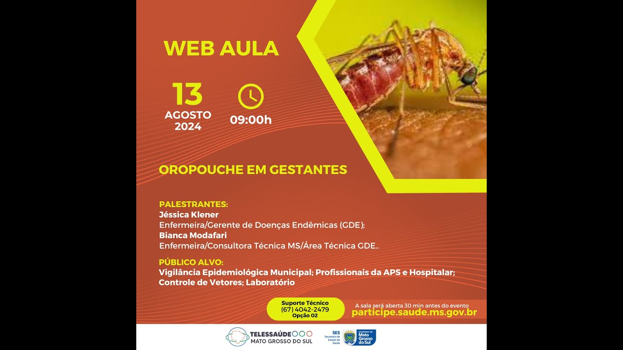 Web Aula - Oropouche em Gestantes - YouTube