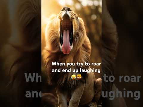 Sure is fun being king 👑 #BestZooShorts #FunnyAnimals #ZooAnimals #AnimalShorts #Shorts #ZooTube