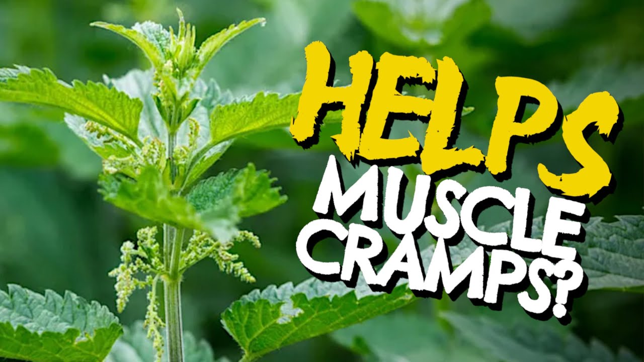 7 Wild Plants Richer in Magnesium Than Kale | Natural Sleep, Muscle ...