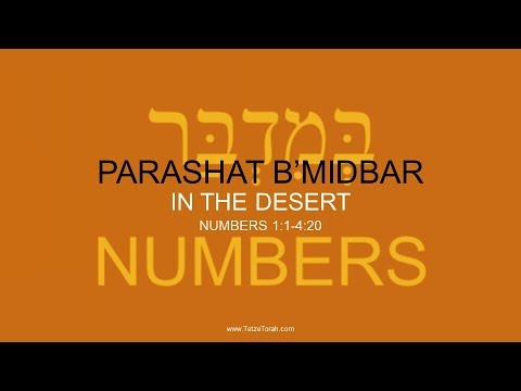 Weekly Torah Portion: 34 B’MIDBAR - IN THE DESERT - NUMBERS 1:1-4:20 ...