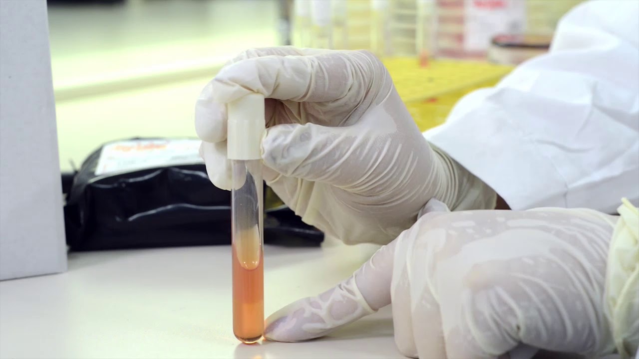 hylabs Enterotest - YouTube