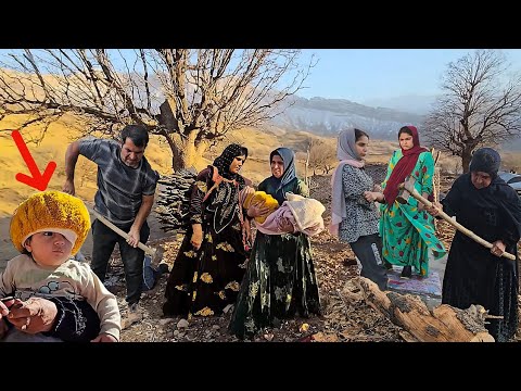 :Exciting journey of the Doora family to the oak forest for collecting fuelwood
