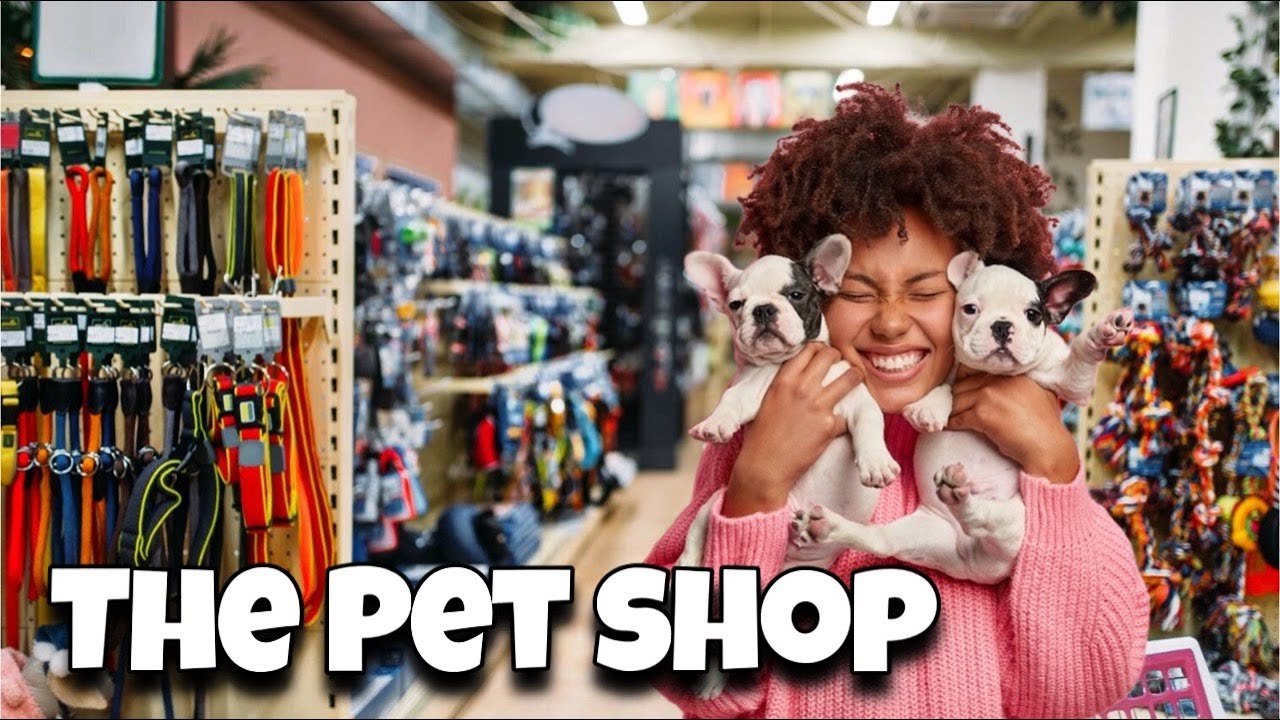 The Pet Shop The Biggest Pet Shop In Dubai Play Area Dog Cat Bird the-pet-shop-the-biggest-pet-shop-in-dubai-play-area-dog-cat-bird