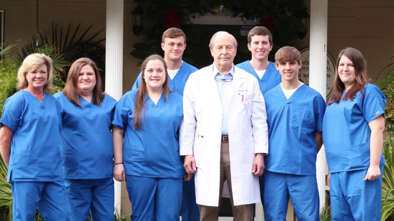 Welcome to Clarke County Animal Hospital - YouTube