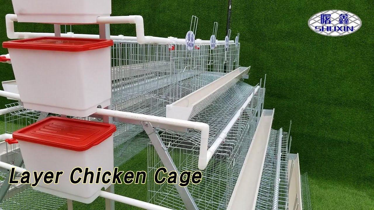 Steel Wire Layer Chicken Cage 3 Tiers 1000 Birds For Individual Farm ...