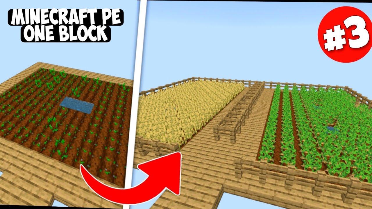 I Made EPIC FOOD FARMS in MCPE One block ! - YouTube