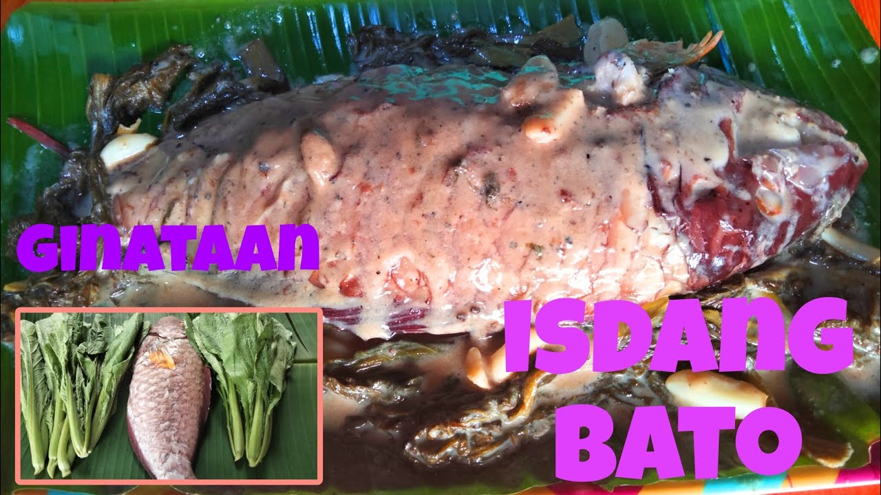 Isdang bato gawin nating masarap na ginataan - YouTube