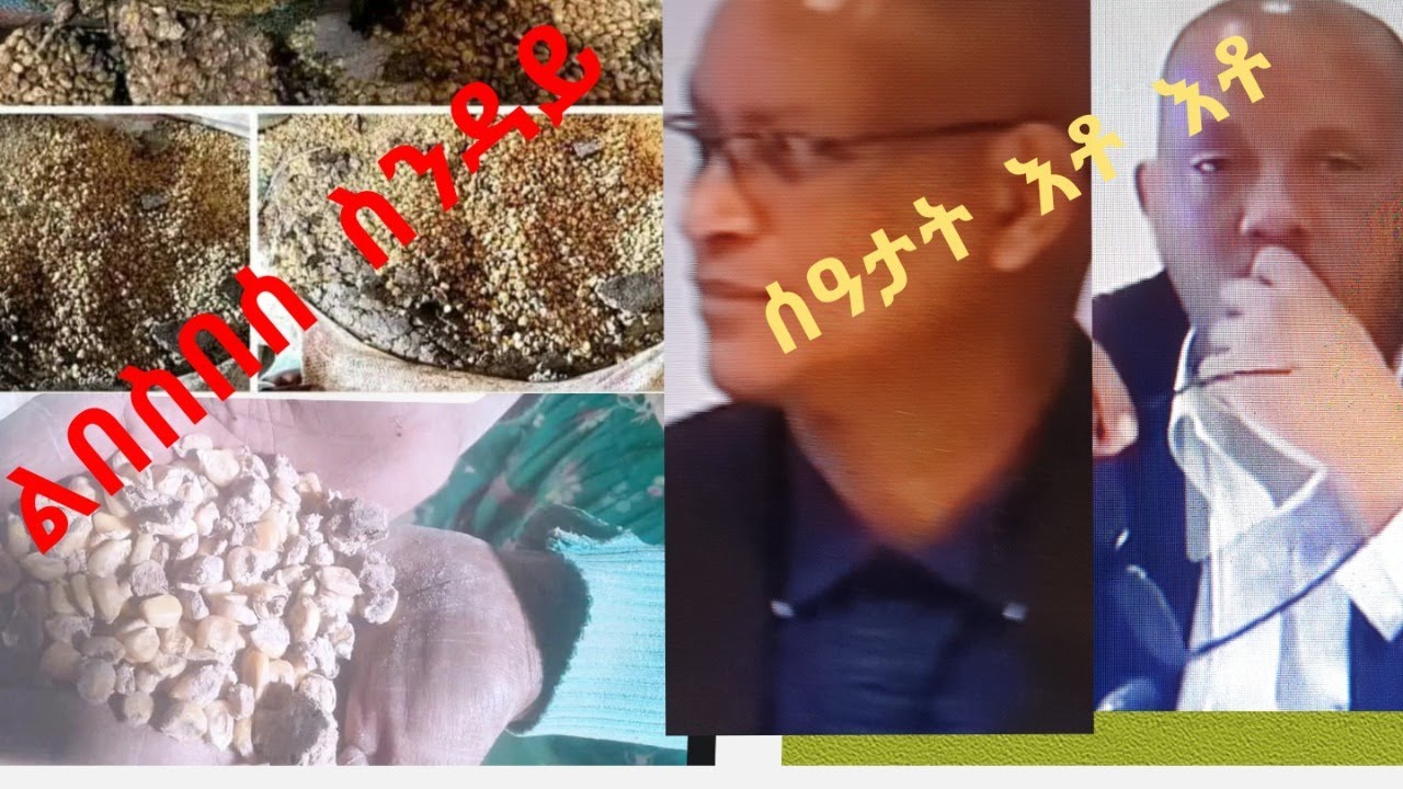 ዘይሓልፈላ ክልል እዋን እቶ እቶ ኣዊጃ - YouTube