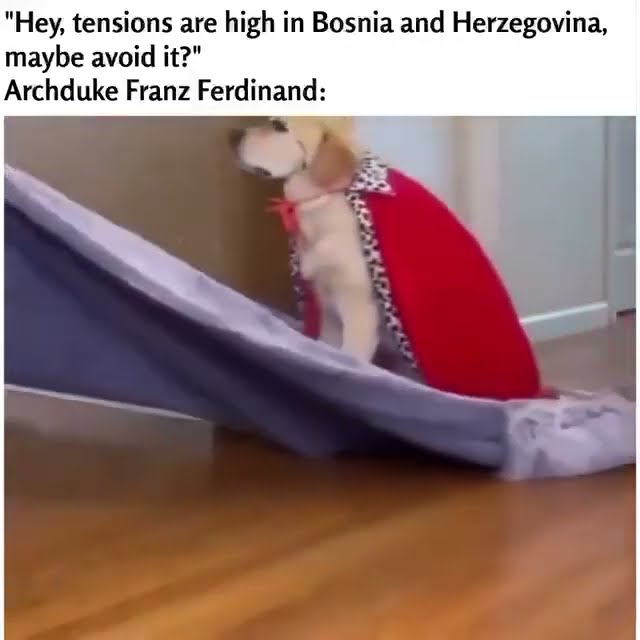 Archduke Franz Ferdinand be like: #ww1 #ww1memes #memes - YouTube