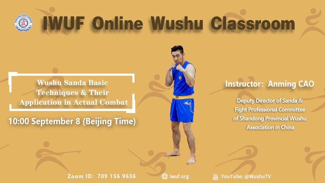 55. Wushu Sanda Basic Techniques & Their Application in Actual Combat - YouTube