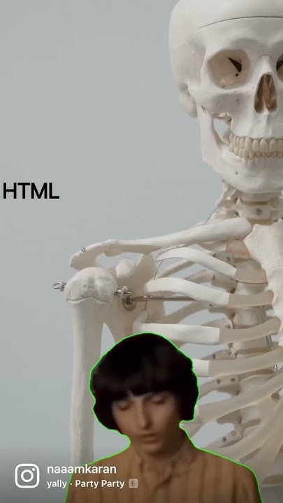 Web Developers Check This Out π Shorts Youtubeshorts Computerscience Webdeveloper Developer