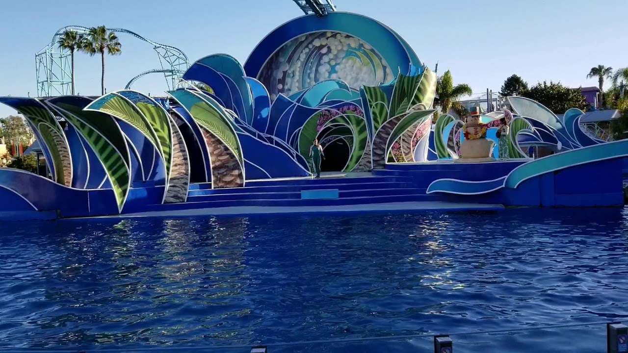 Sea world december 29th - YouTube