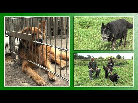 Hellhound Foundation - TierheimTV unterwegs