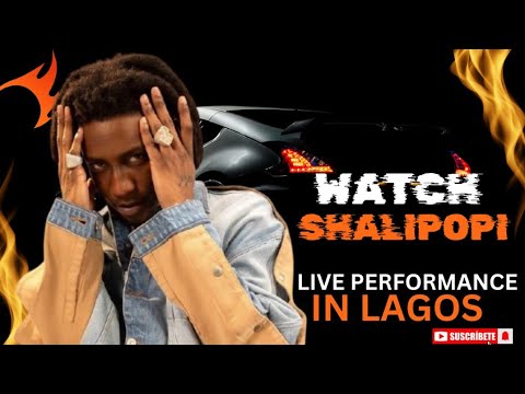 Shalipopi Live Performance In Lagos #music #concert #entertament # ...