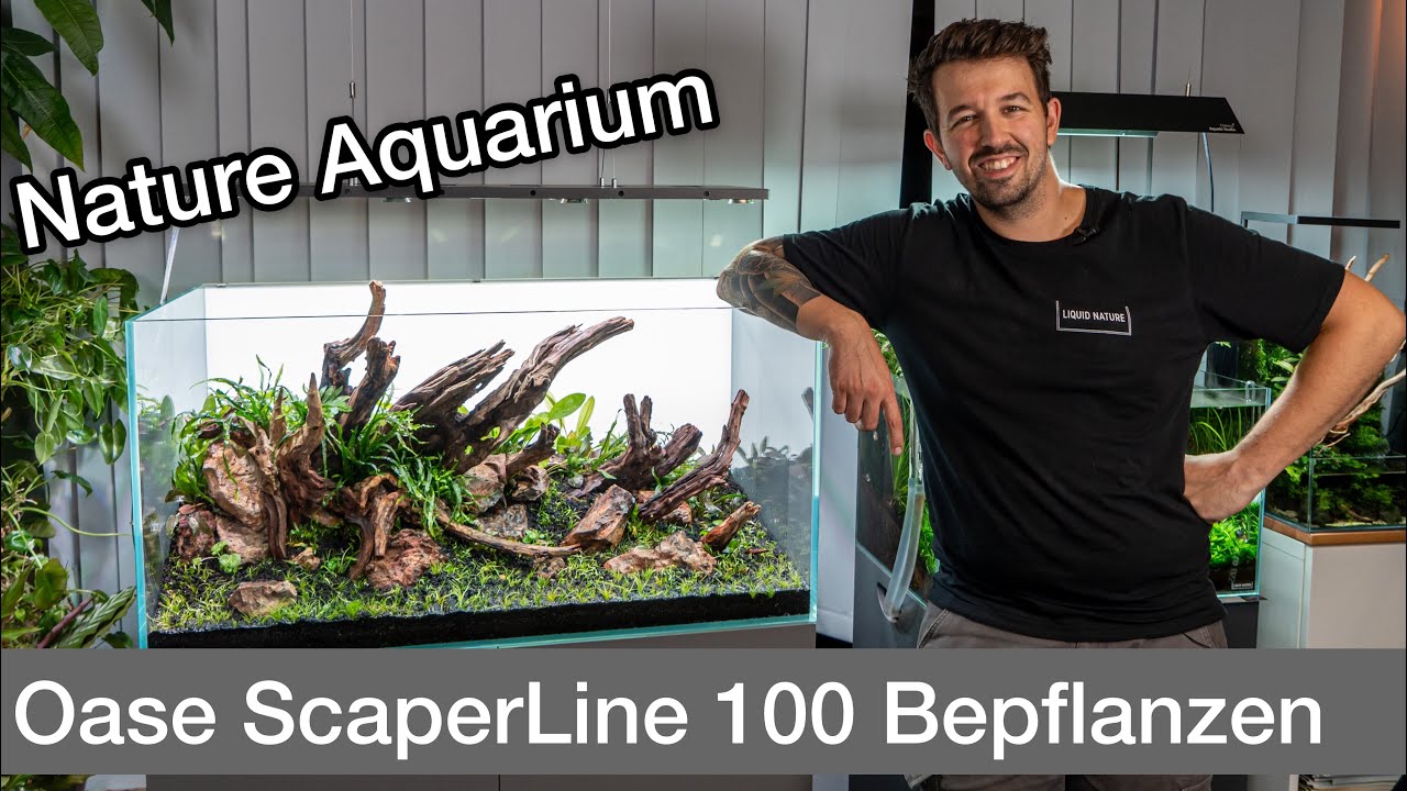 Nature Aquarium bepflanzen - Oase ScaperLine 100 | Liquid Nature - YouTube
