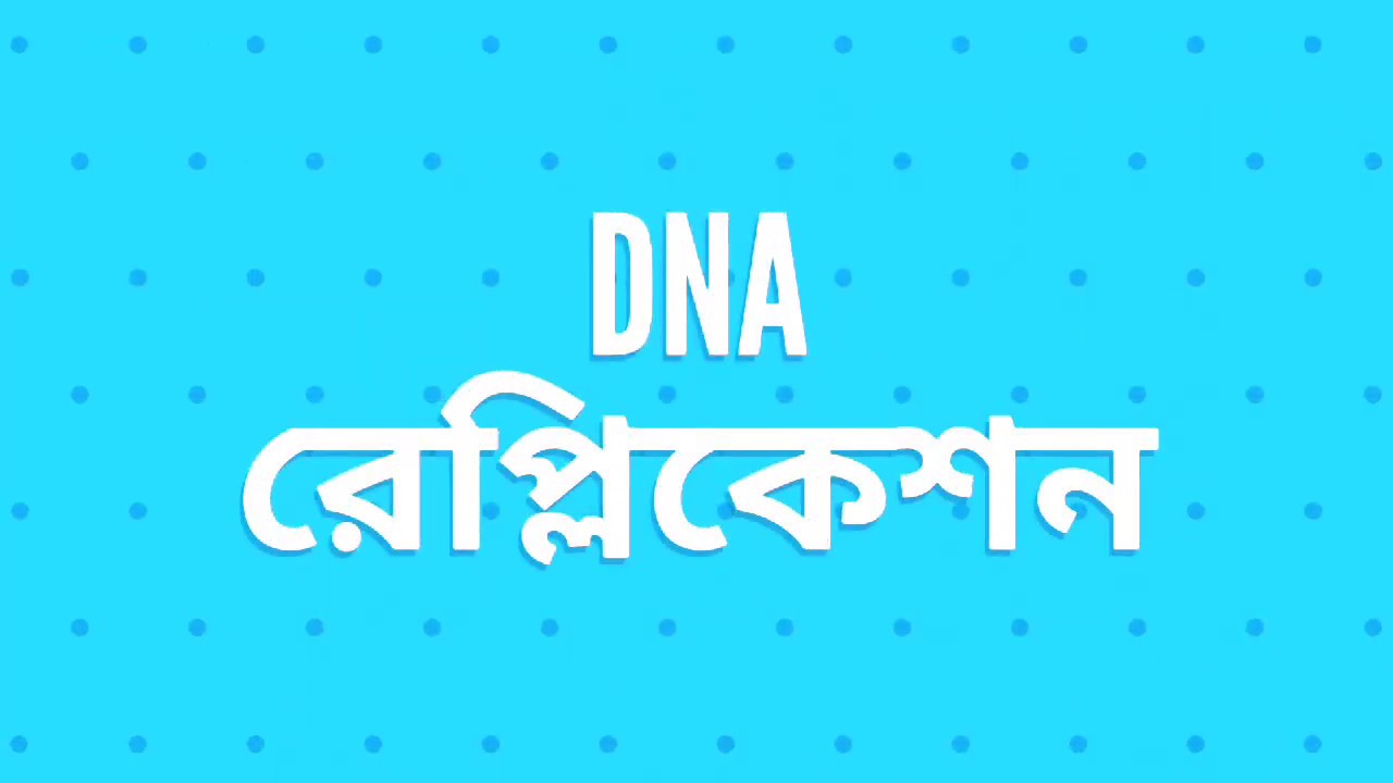DNA রেপ্লিকেশন /DNA Replication in Bengali - YouTube