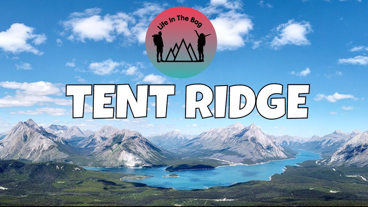 Tent Ridge, Alberta 2020 (4K) - YouTube