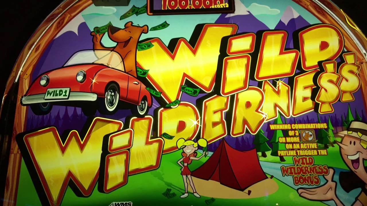 Wild Wilderness Slot Machine ~ 2 PICKING BONUSES ~ SILLY BEAR GOT ...