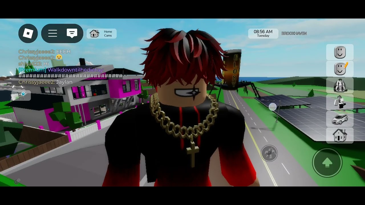 just doing some random stuff in Brookhaven (the end was crazy) - YouTube