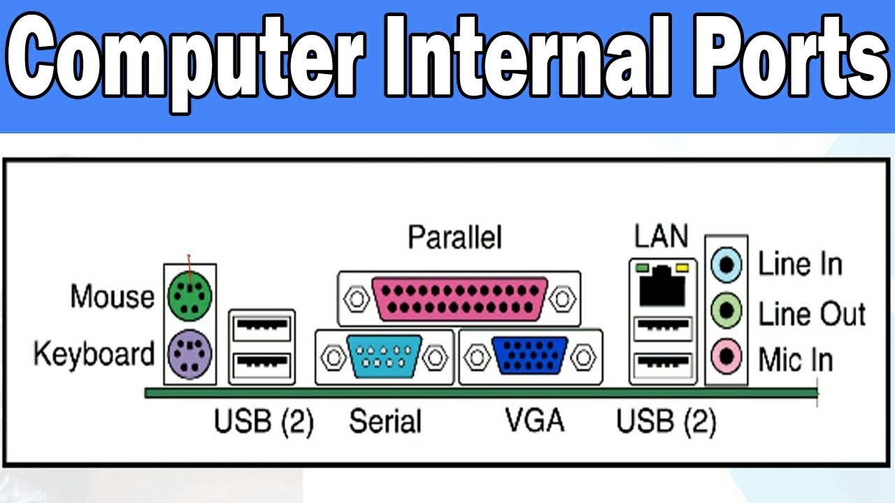Computer Internal Ports Class 7 Chap1 P1 - YouTube