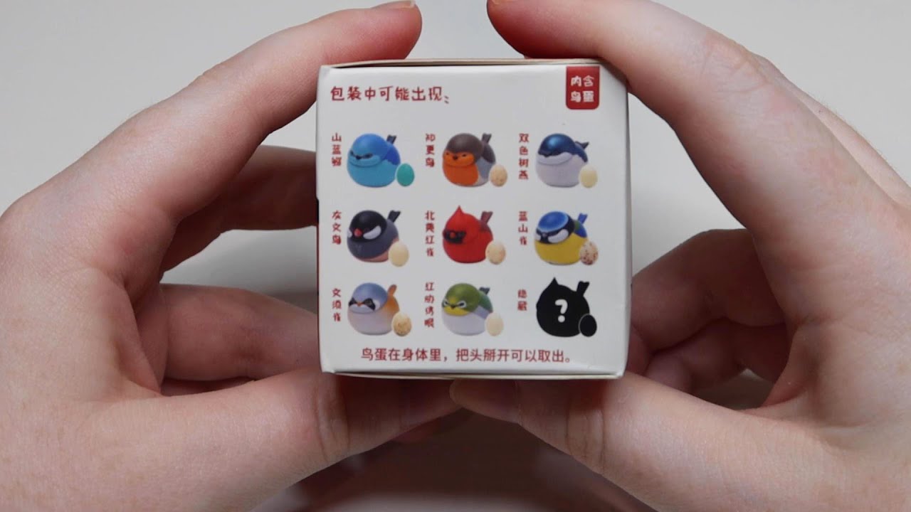 Opening a Birds of the World Blind Box - YouTube