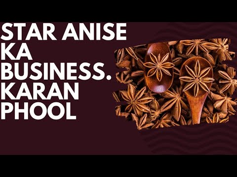 HOW TO PURCHASE KARAN PHOOL? STAR ANISE CHAKR PHOOL | New Business ...
