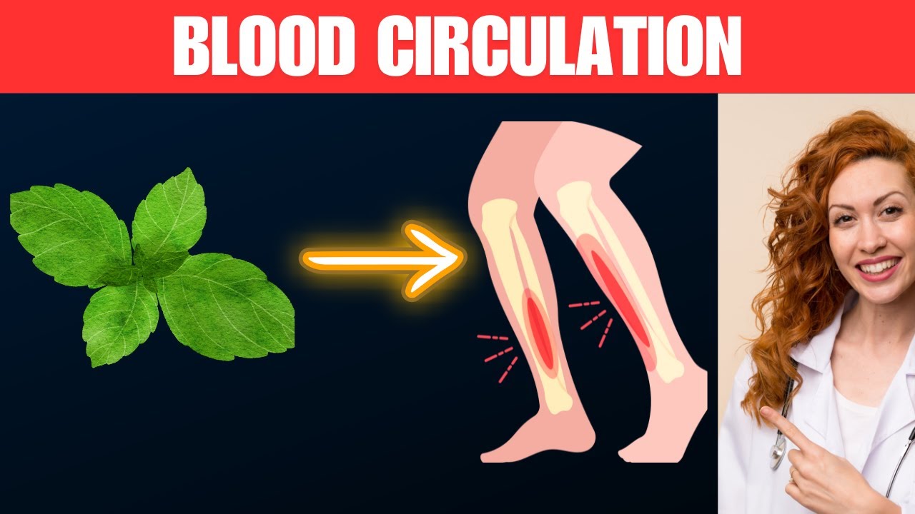 5 super herbs to enhance blood circulation in your legs! | Herbs for ...