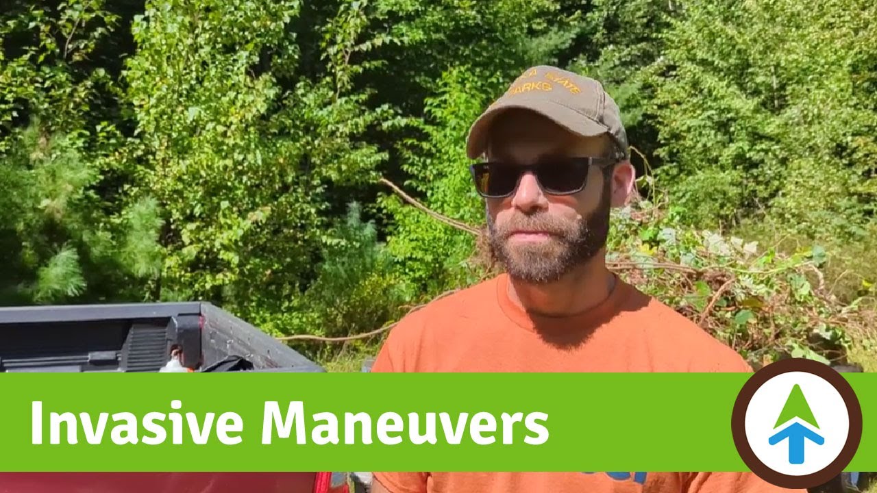 Invasive Maneuvers - YouTube
