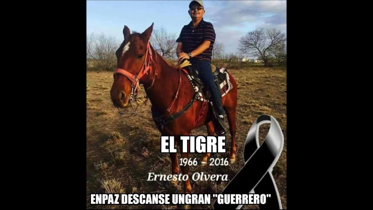 RAPERO BIGDOG - DESCANSE EN PAZ (EL TIGRE) - YouTube