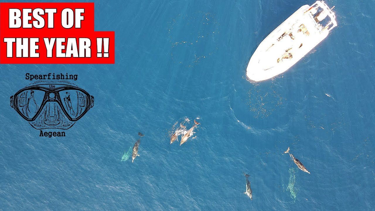 😲ΟΙ ΚΑΛΥΤΕΡΕΣ ΣΤΙΓΜΕΣ ΣΤΟ ΨΑΡΟΝΤΟΥΦΕΚΟ 2021 | Spearfishing the Aegean ...