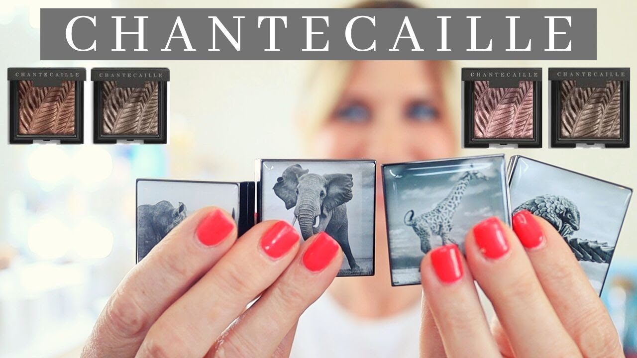 Chantecaille Fall 2019 Eyeshadow swatches | Blush | Eyeshadow Brush ...