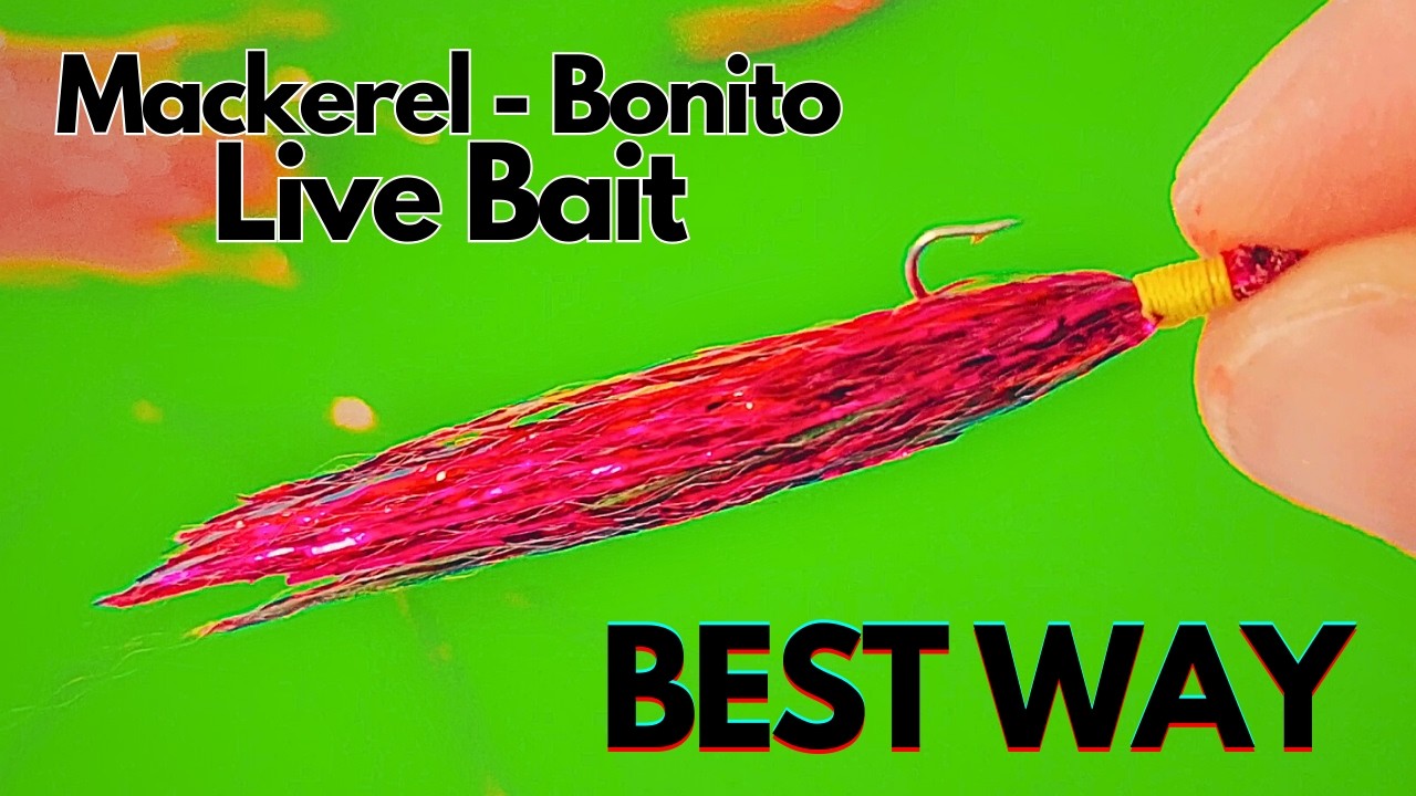 Ultimate Sabiki Rig Hook Guide 🎣 | Catch Live Bait Fish Easily - YouTube