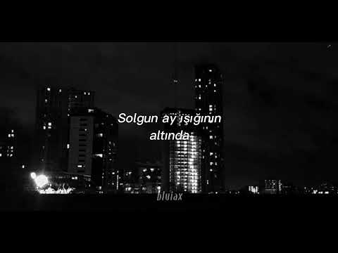 Coyote Theory - This side of paradise (Türkçe çeviri)