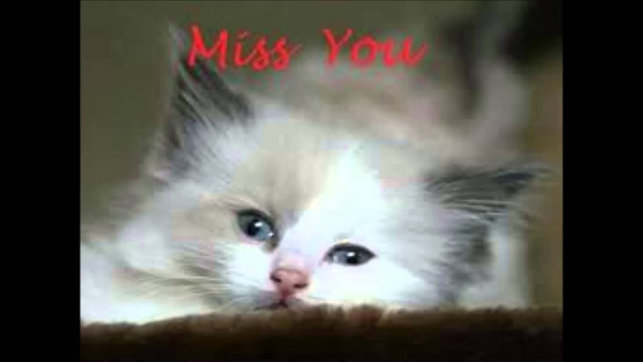 meme I'll never forget you - YouTube